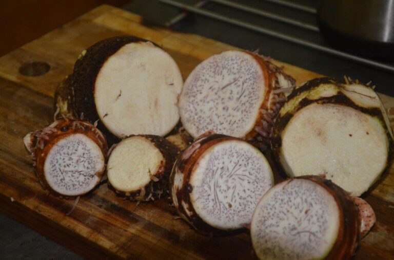 Yautía Lila o Yautía Coco - Villa Palero